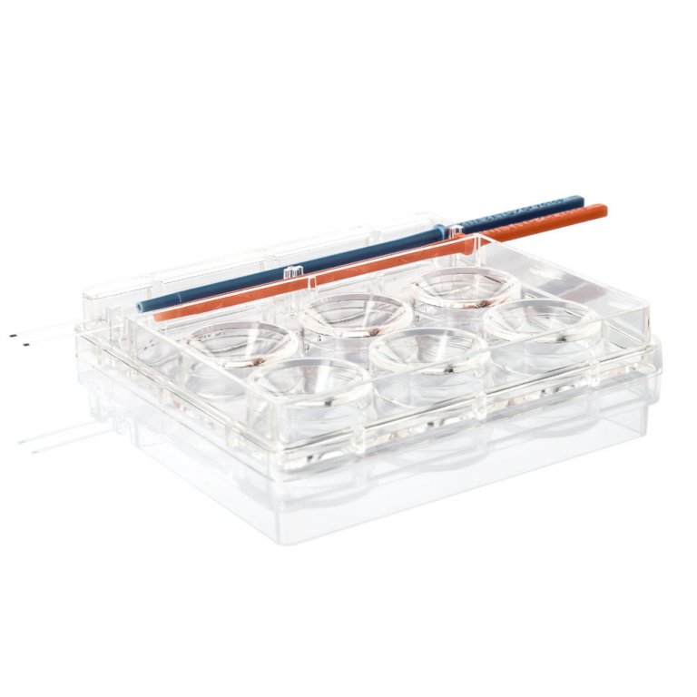 Cryotop Open System : GYNEMED GmbH & Co. KG