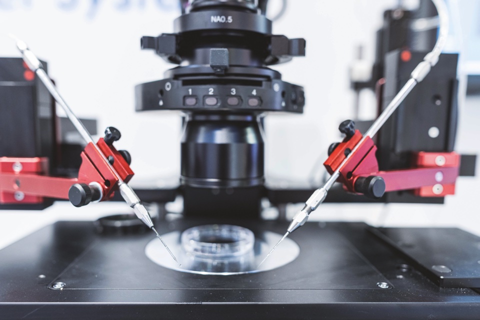 GYNEMED Medizinprodukte GmbH & Co. KG