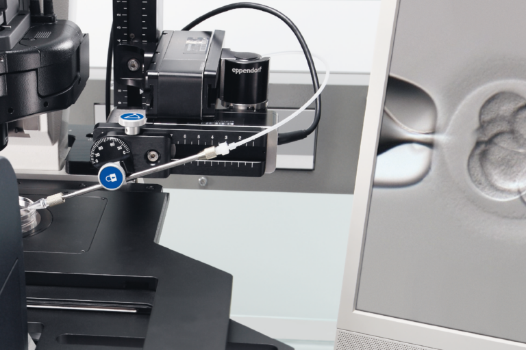 GYNEMED GmbH & Co. KG