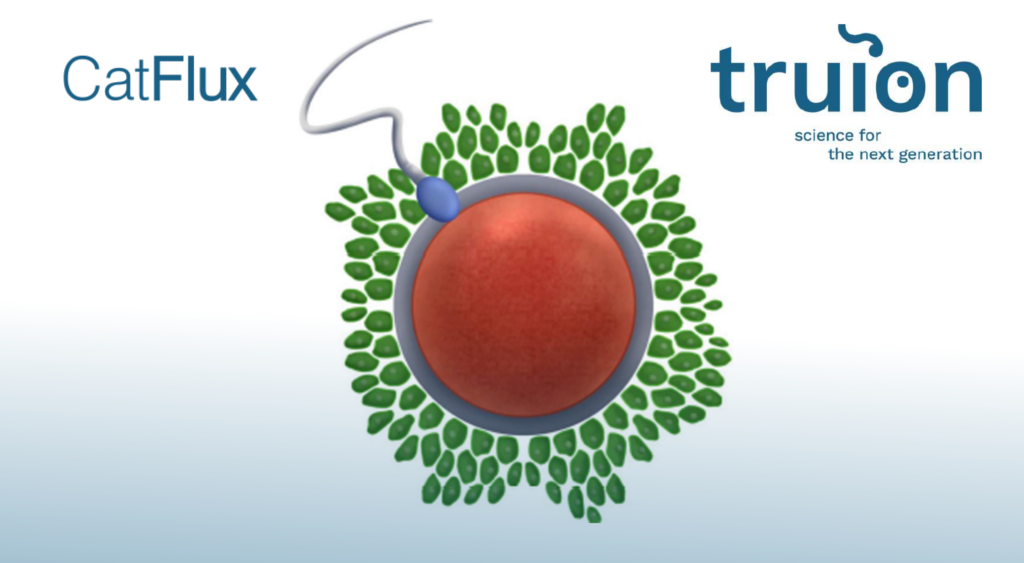 GYNEMED GmbH & Co. KG